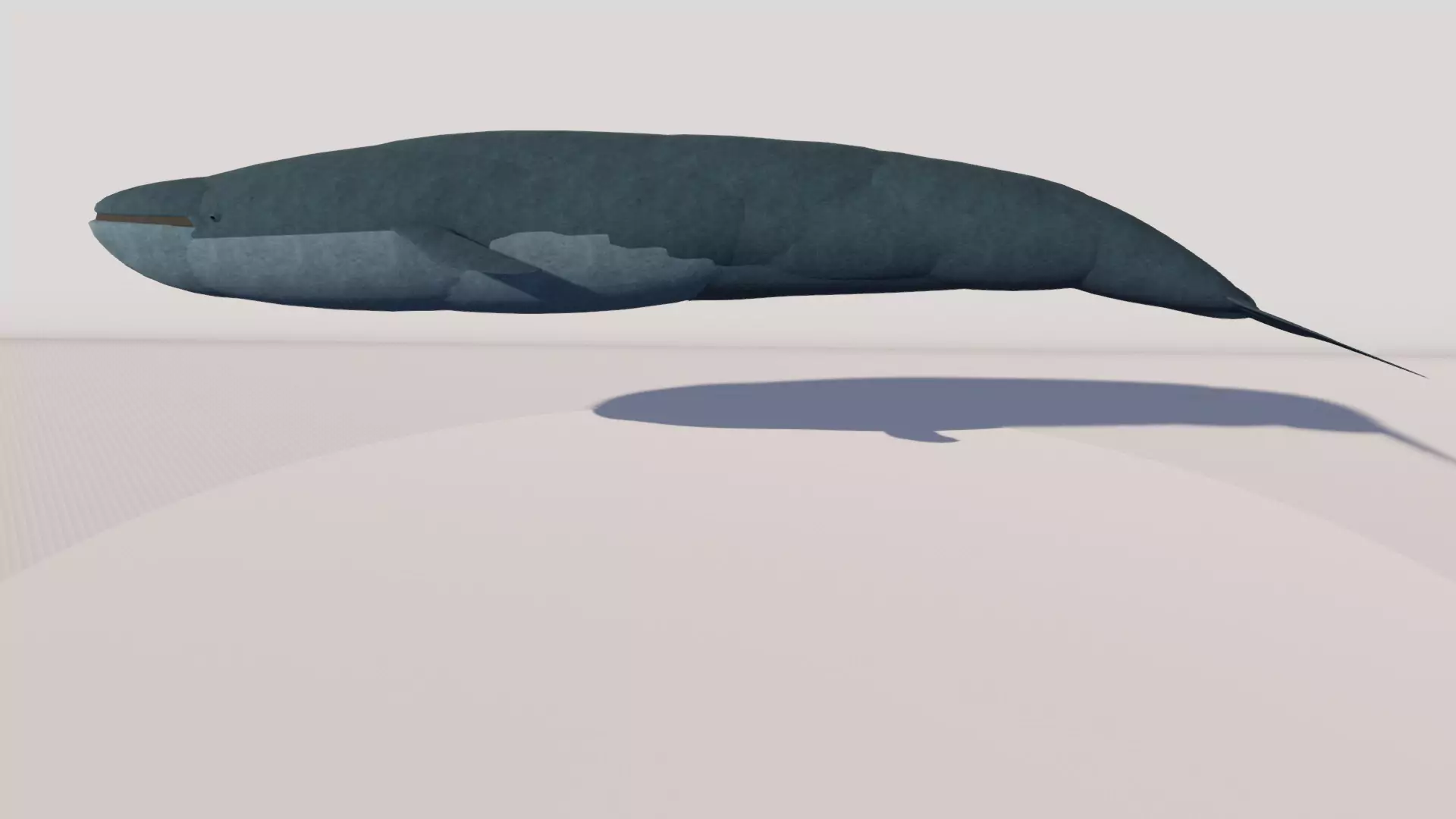 Blue Whale by Queen - 3DXChat Store